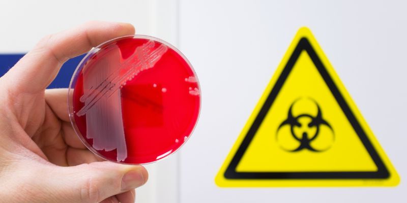 How to Prevent Bloodborne Pathogens Exposure in the Workplace?